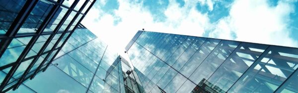 El entorno VUCA y sus características - Escuela Fintech